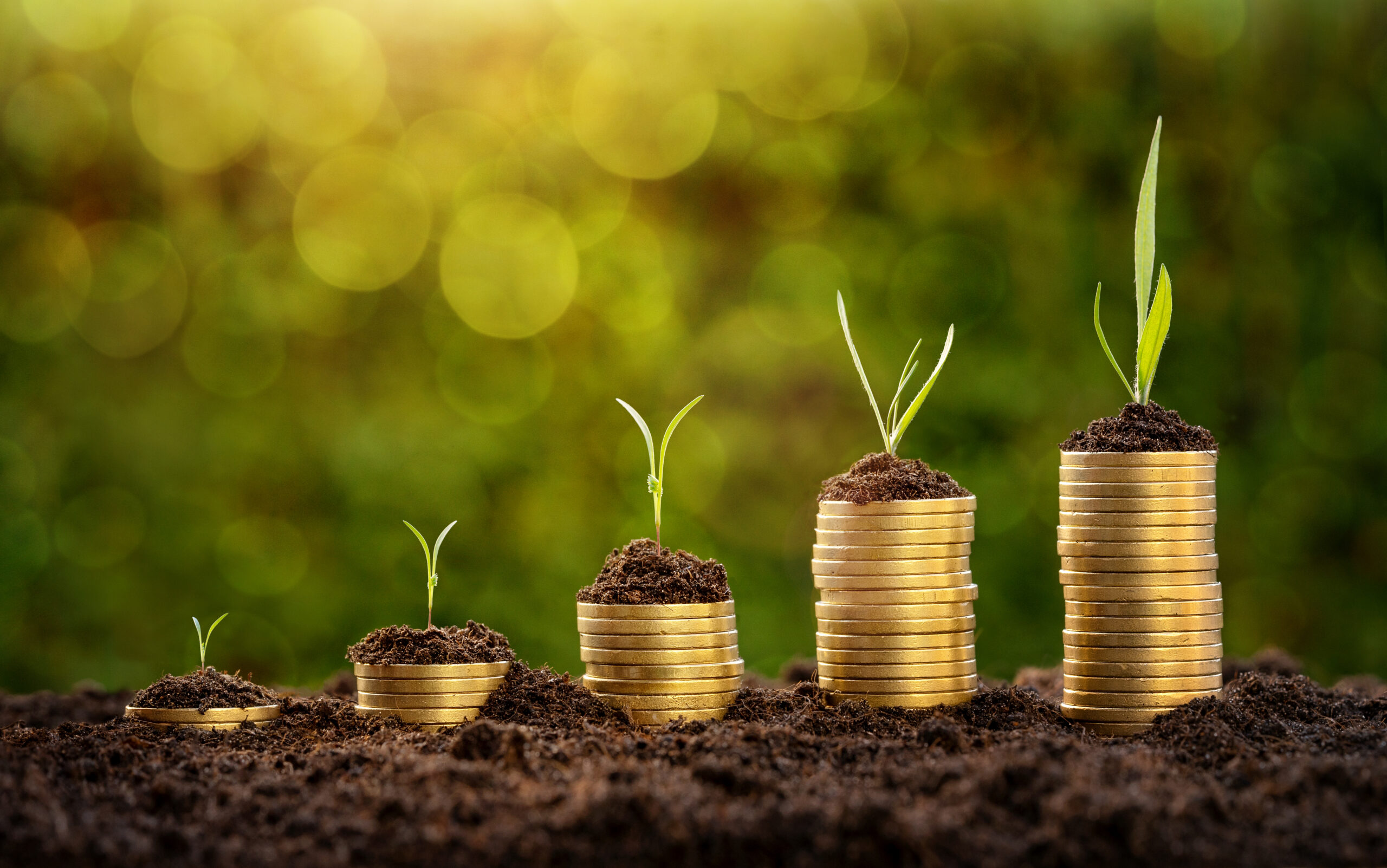 Budget 2021 How Will It Impact You WTT Group